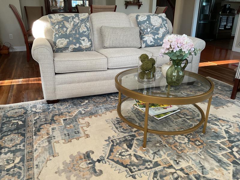 allen + roth with STAINMASTER Avery Blue 8 X 10 (ft) Blue Indoor ...