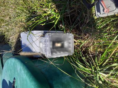 Hubbell TayMac 1-Gang Rectangle Clear Plastic Weatherproof Electrical ...