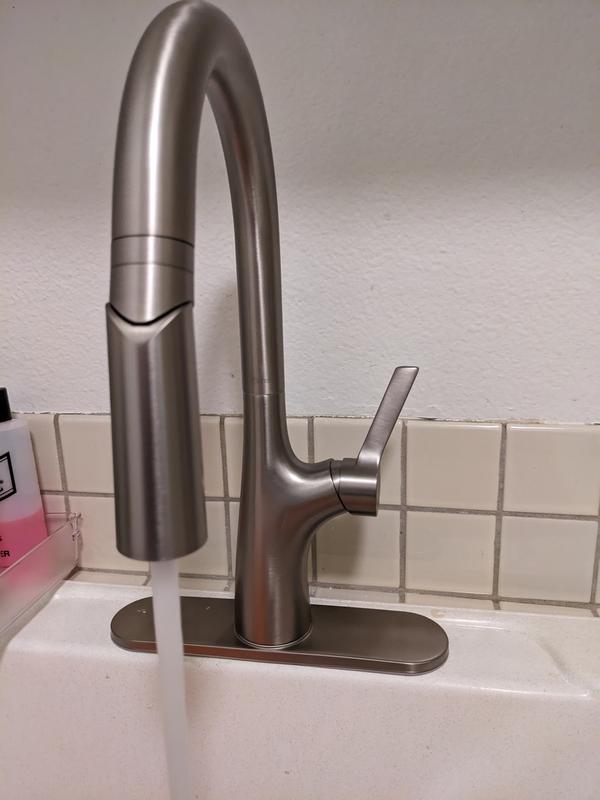 Pfister Ceylon Spot Defense Stainless Steel Single Handle Pull-down ...