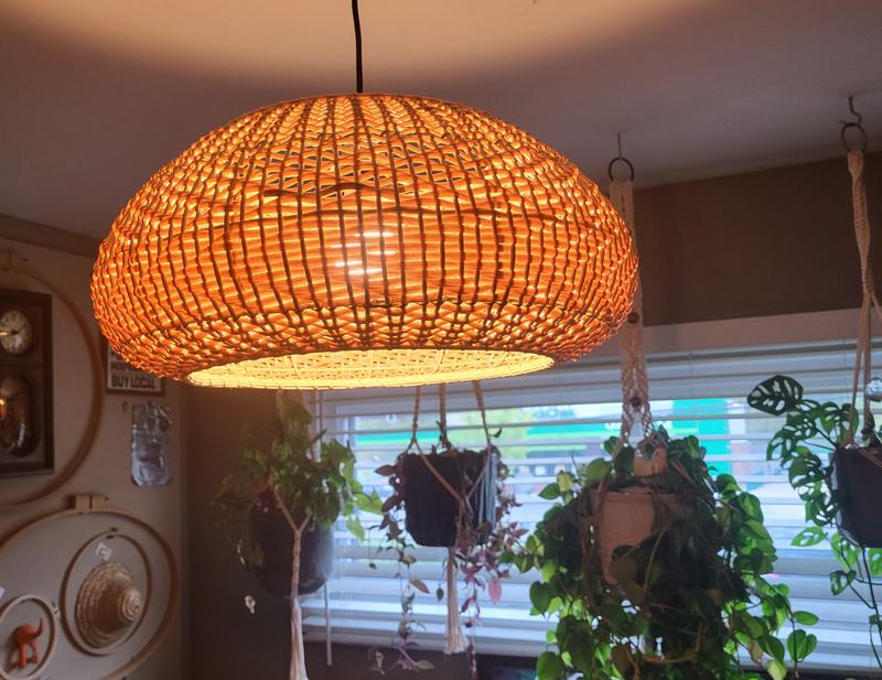 Parrot Uncle 1 -Light Black Transitional Rattan Drum Medium Hanging ...