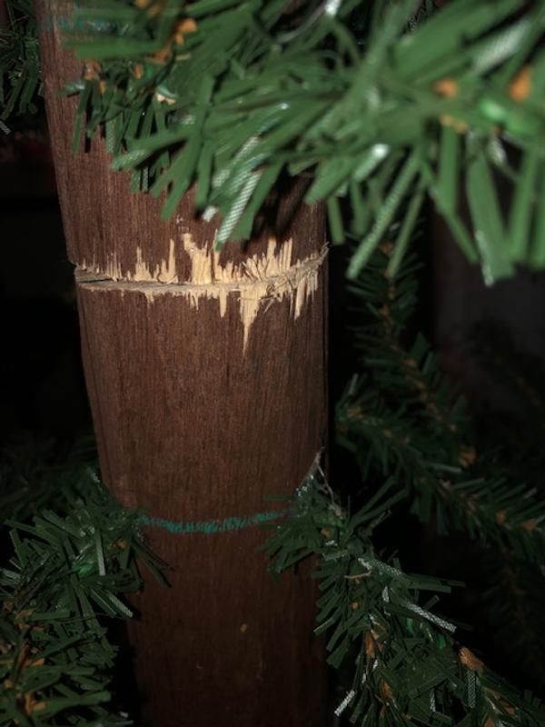 Sterling Tree Company 2-ft Alpine Artificial Christmas Tree 5408-20EC ...