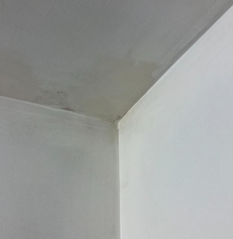 KILZ Klear Interior/Exterior Multi-purpose Water-based Wall and Ceiling ...