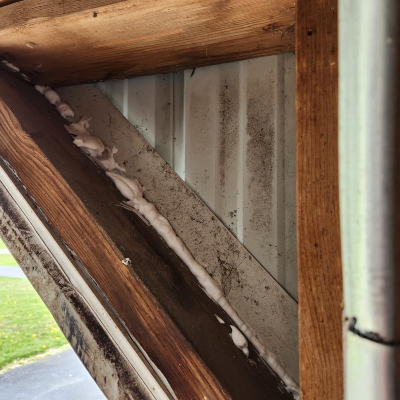 GREAT STUFF PRO Flexible Drywall Gasket 18-oz Spray gun Indoor Spray ...