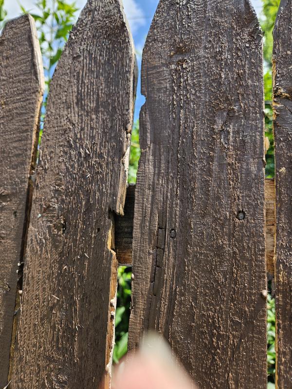 6-ft x 8-ft Spruce Stockade Privacy Stockade Fence Panel in the Wood ...
