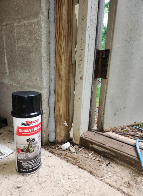 TOMCAT Rodent Block Expanding Foam Barrier Rat Prevent 4418510 at Lowes.com