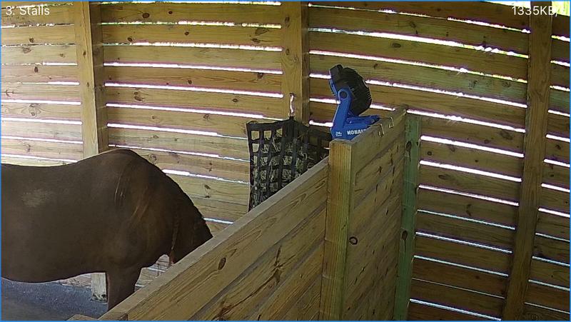 Kobalt 7-in 24 -Volt 5 -Speed High Velocity Indoor/Outdoor Blue ...