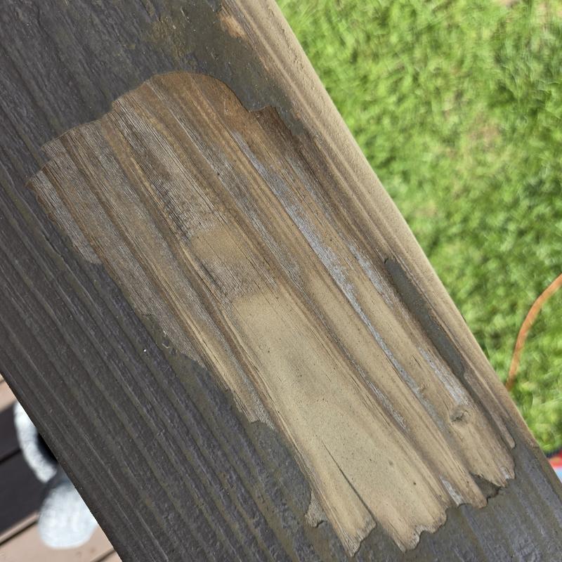 Cabot Acorn Solid Exterior Wood Stain and Sealer (Half-pint) ACORN ...