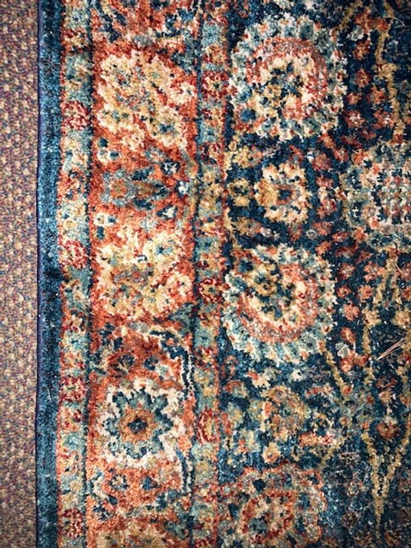 allen + roth with STAINMASTER Emerald Border 2 x 8 (ft) Loomed ...
