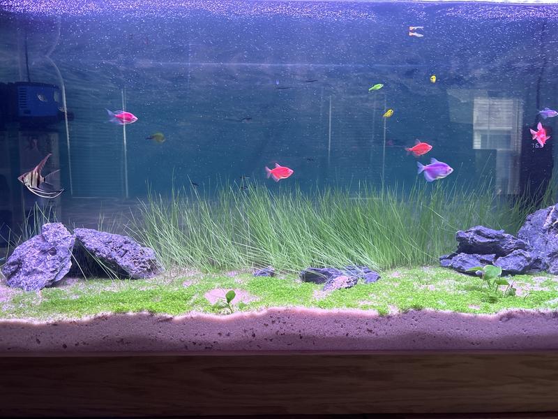 QUIKRETE Pool Filter Sand Pool Filter System in the Pool Filter ...