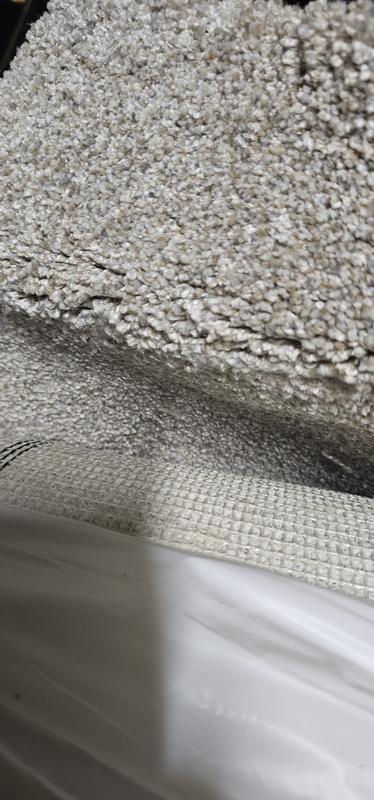 STAINMASTER Animated I Summer Straw Tan 48.8-oz sq yard Solution-dyed ...