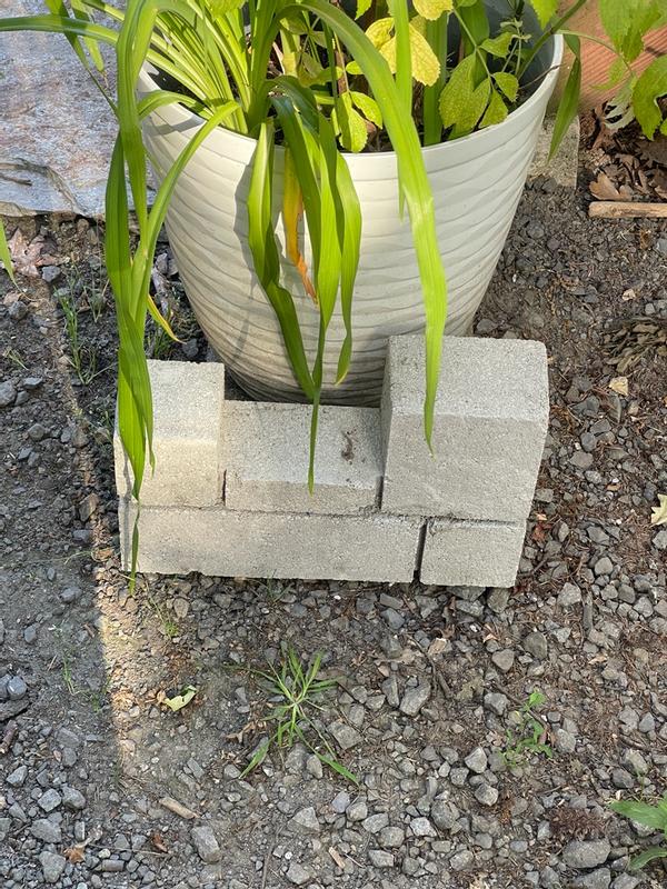 Oldcastle 10-in H x 15.7-in L x 4-in D Fog Gray Stagger Wall Concrete ...
