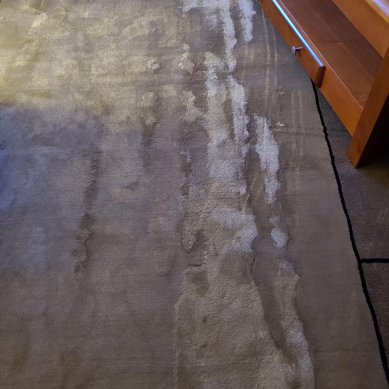 Mohawk Home Leaf Point 8 X 10 (ft) Brown Indoor Border Vintage Area Rug ...