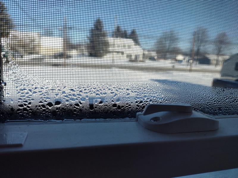 United Window & Door PRO Series 35-1/2-in x 59-1/2-in Black White Vinyl ...