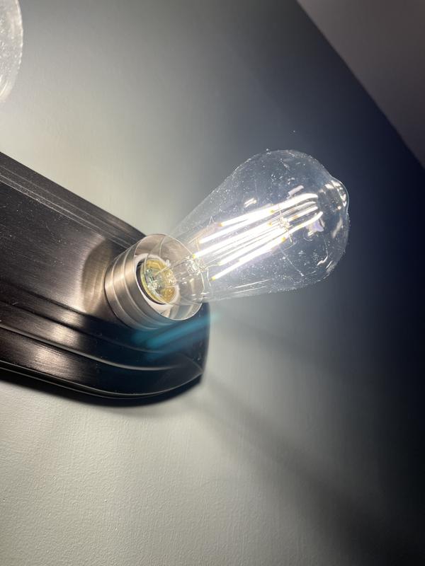 Utilitech Straight Filament 60 -Watt EQ ST19 Soft white Screw bases ...