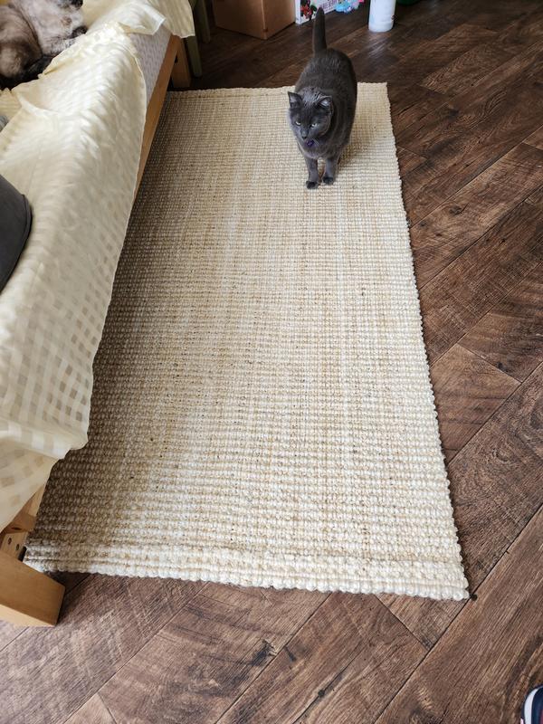 JONATHAN Y NATURAL FIBER Hiro Chunky 9 X 12 (ft) Jute Ivory Indoor ...