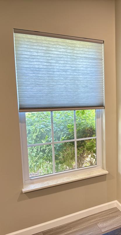 LEVOLOR 50-in x 72-in Snow Light Filtering Cordless Cellular Shade ...