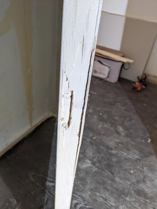 Masonite 30-in x 80-in Primed Solid Core 2-panel Left Hand Molded ...