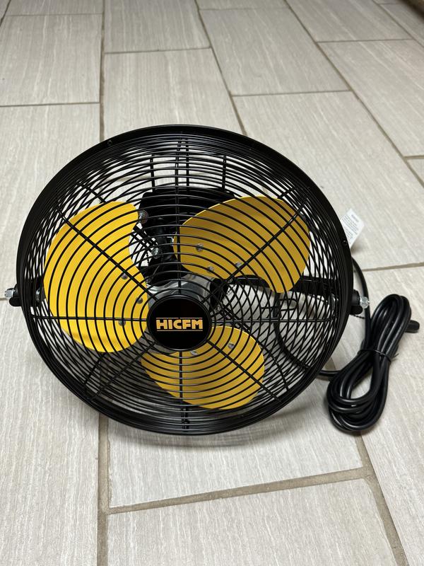 EdenDirect 12-in Indoor Yellow Wall Mounted Fan in the Wall Mounted ...