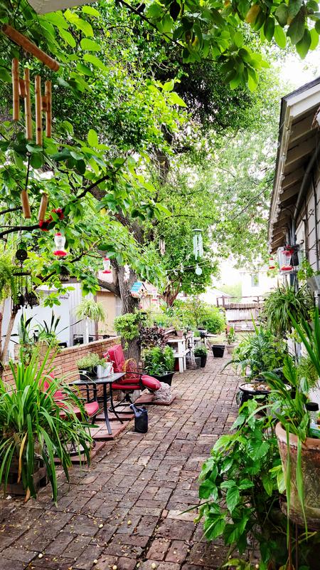 Hapi-Gro Timberline 40-lb Organic Compost and Manure Provides Organic ...