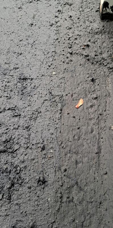 BLACK JACK Drive-Maxx 1000 4.75-gallon Asphalt Sealer in the Asphalt ...