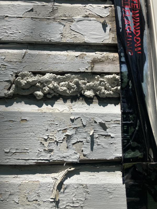 TOMCAT Rodent Block Expanding Foam Barrier Rat Prevent 4418510 at Lowes.com