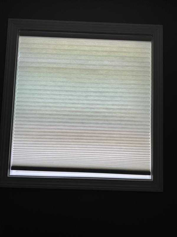 LEVOLOR 51-in x 72-in Snow Light Filtering Cordless Cellular Shade ...