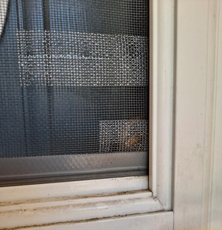 ScreenMend Screen Mend - Fiberglass Screen Repair - Fixes Holes and ...