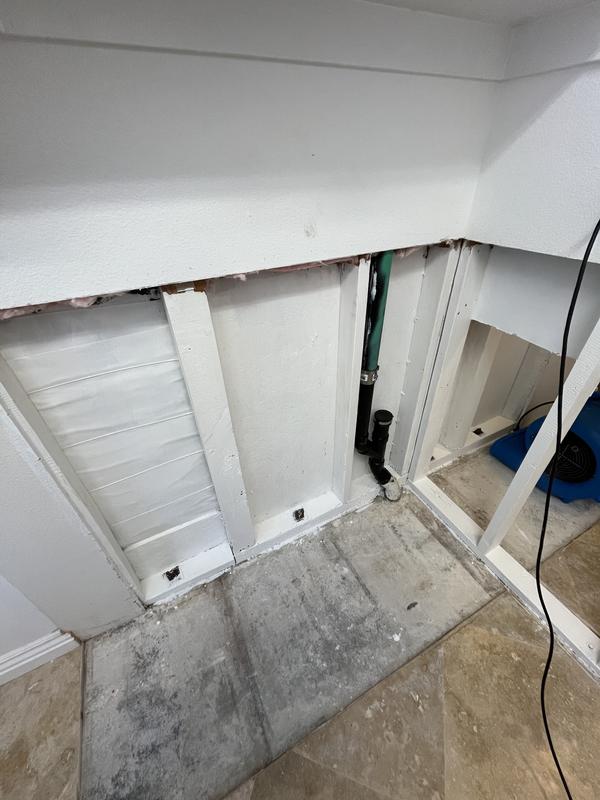 Shop Zinsser Mold Killing Interior/Exterior Multi-purpose Water-based ...