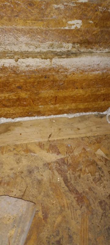 TOMCAT Rodent Block Expanding Foam Barrier Rat Prevent 4418510 at Lowes.com