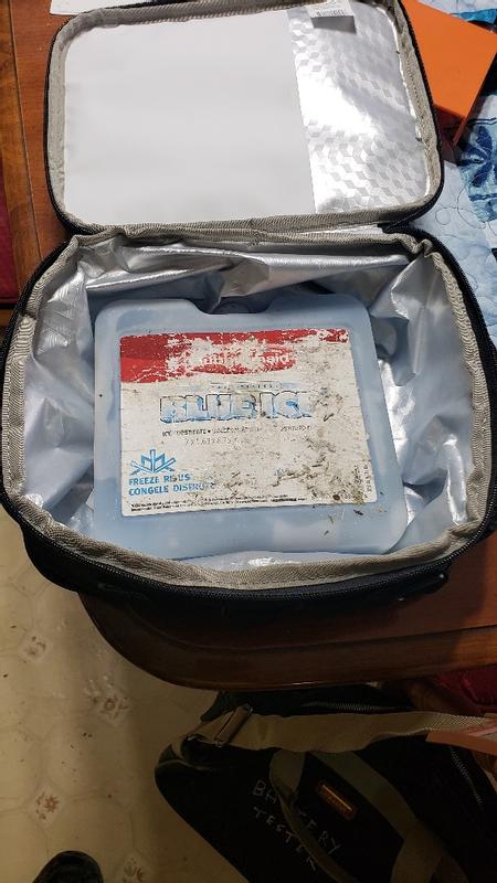 Kobalt Gray 333-Cu in Insulated Lunch Box at Lowes.com