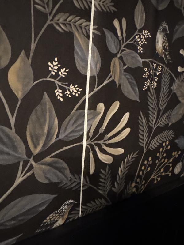 Chris Loves Julia x WallPops 30.75-sq ft Green Vinyl Ivy/Vines Self ...