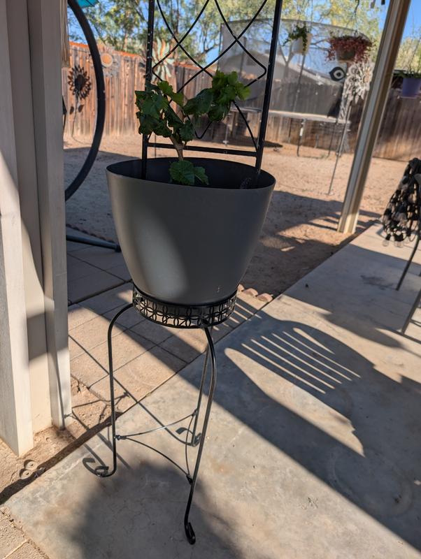 allen + roth 27.3-in H x 10-in W Black Indoor/Outdoor Round Steel Plant ...