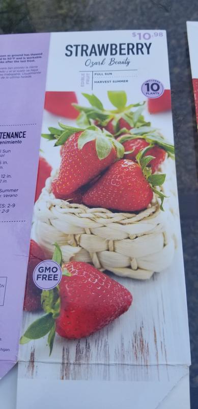 Garden State Bulb STRAWBERRY TRISTAR 10-PK PBS 07990 at Lowes.com