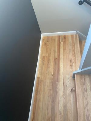 Bostik Bostiks Best 10-oz Wood Flooring Adhesive A39000 at Lowes.com