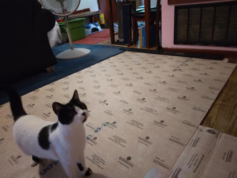 9-mm 21 Density Rubber Carpet Padding with Mositure Barrier in the ...