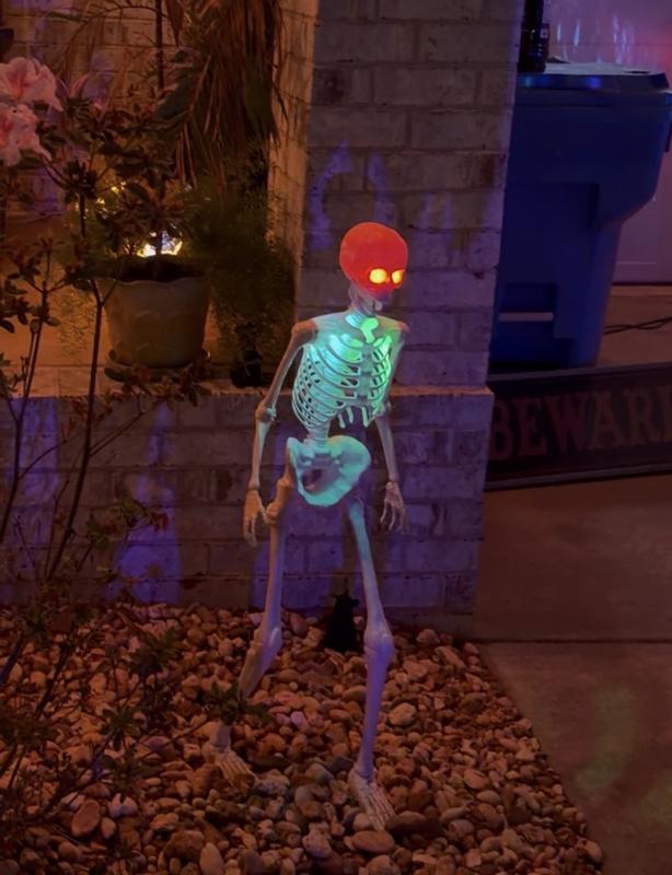 Haunted Living 3-ft Lighted Standing Skeleton in the Halloween Decor ...