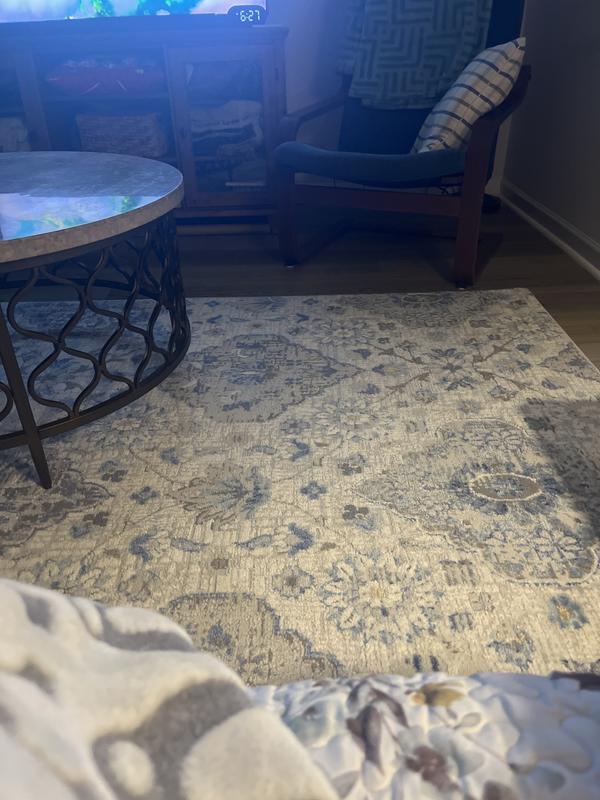 Safavieh Shivan 148M Ivory/Blue 7 x 7 Round Area rug in the Rugs ...