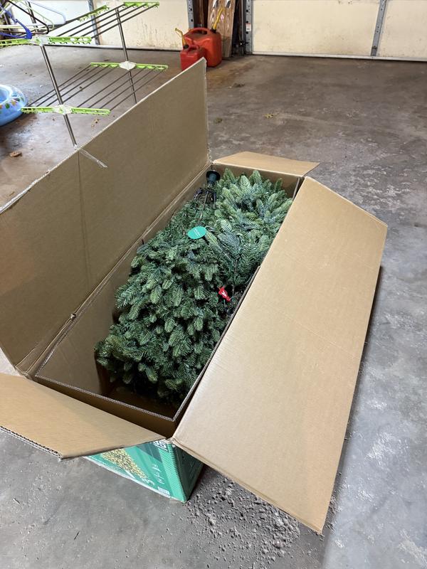 Shop Holiday Living Everett Tree Collection at Lowes.com