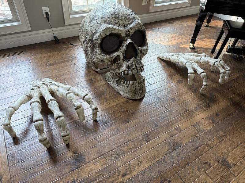 Shop Haunted Living Haunted Skeletons Collection at Lowes.com