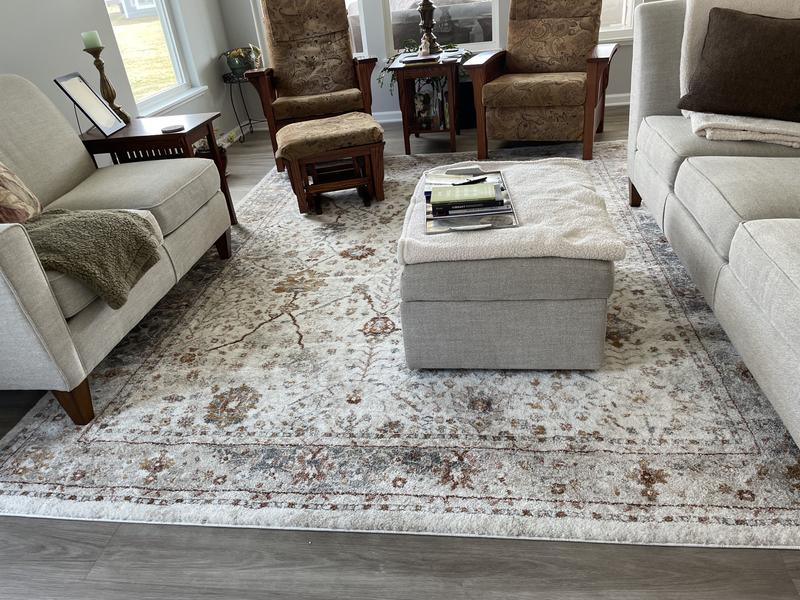 allen + roth with STAINMASTER Camille Border 8 X 10 (ft) Beige Indoor ...