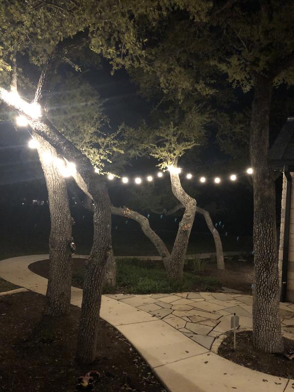 WYZM 50-ft Plug-in Black Indoor/Outdoor String Light with 25 White LED ...