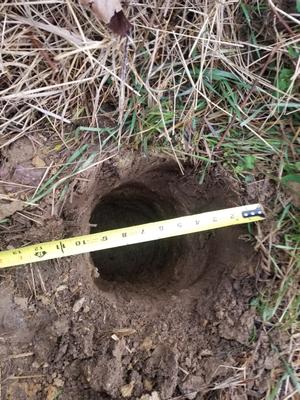 Fast 2K Fence Post Backfill 32.8 -fl oz Fast setting Fence post mix in ...