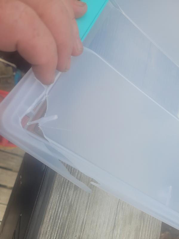 Sterilite 8 -Pack Clip Boxes X-large 2.874 -Gallons ( 11.49 -Quarts ...