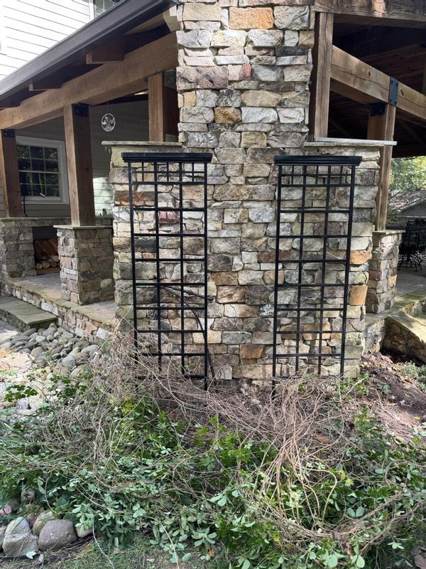 Style Selections 24-in W x 78-in H Black Steel Garden Trellis 82172L at ...