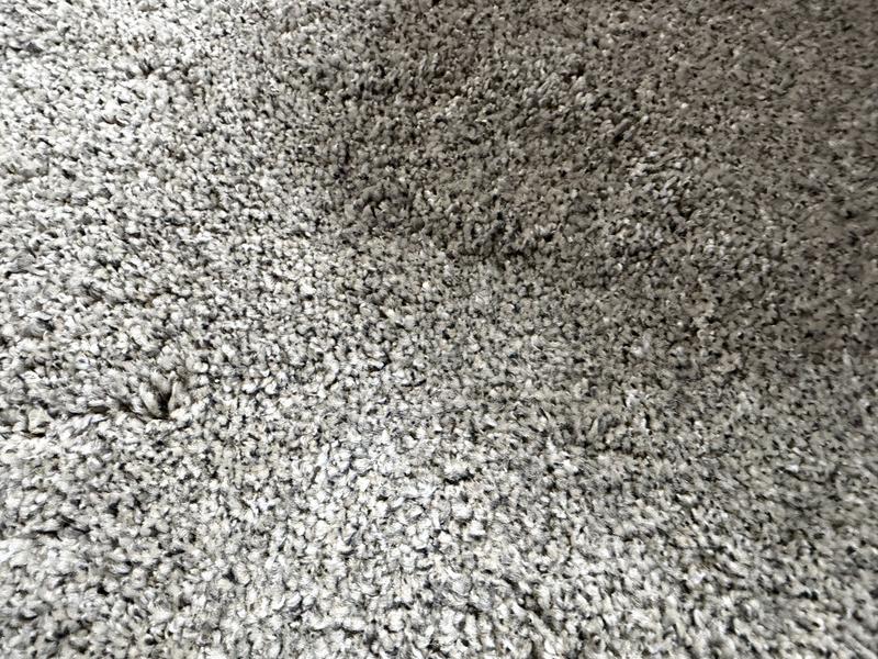 STAINMASTER Marvel I 12 Smoked Tan Tan 48.8-oz sq yard Solution-dyed ...