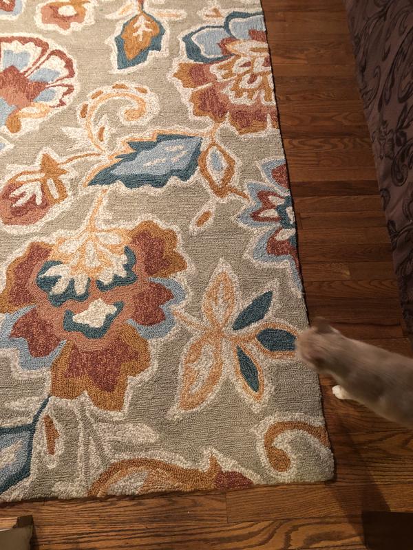 allen + roth Milano 9 X 12 (ft) Color Indoor/Outdoor Floral/Botanical ...