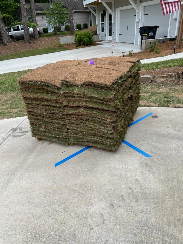Harmony Outdoor Brands 500-sq ft Natural Zoysia Sod Pallet ZOYS500DCOM ...