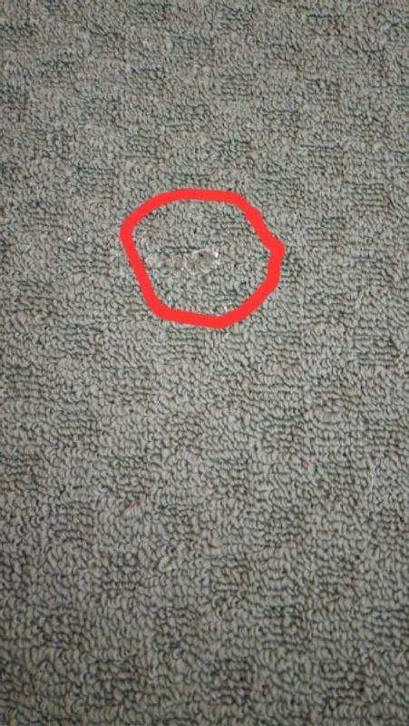 Garland Rug Town Square 5 x 7 (ft) Tufted Polypropylene Cinder Gray ...
