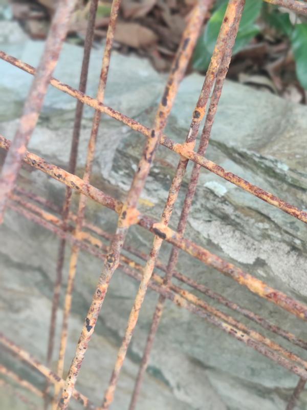 3.5-ft x 7.0-ft Steel Wire Mesh Sheet in the Remesh department at Lowes.com