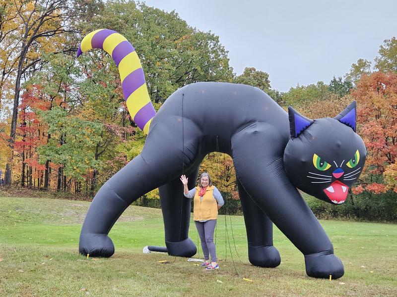 Shop Haunted Hill Farm Halloween Inflatable Cat Decorations at Lowes.com